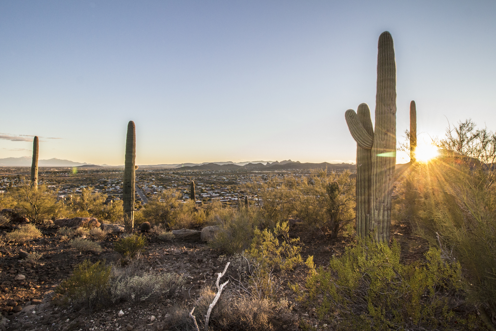 Exploring Tucson's Natural Wonders | Tucson.com - Arizona Daily Star