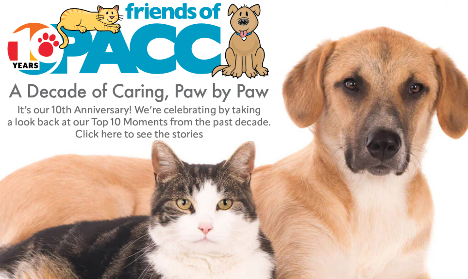 Friends of PACC Celebrates a Decade of Caring, Paw by Paw. | Tucson.com ...